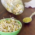 How to Grow Bean Sprouts – A Couple Cooks