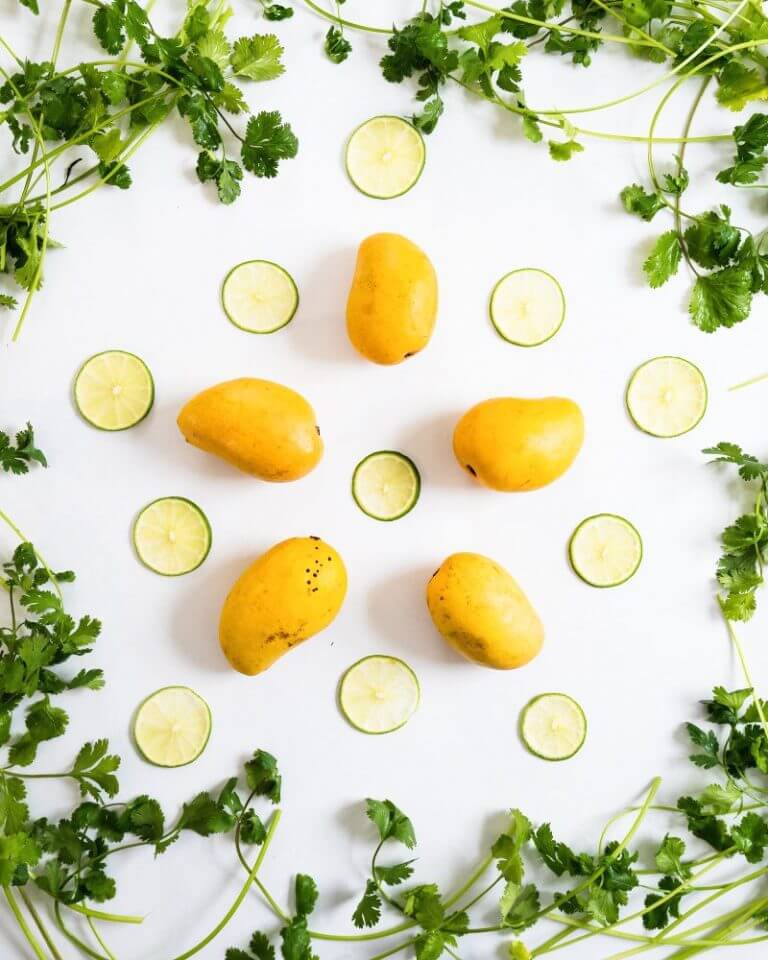 Mango Mojito – A Couple Cooks