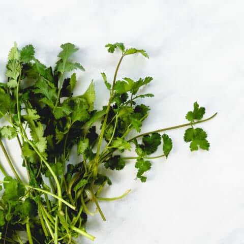 How to Cut Cilantro – A Couple Cooks