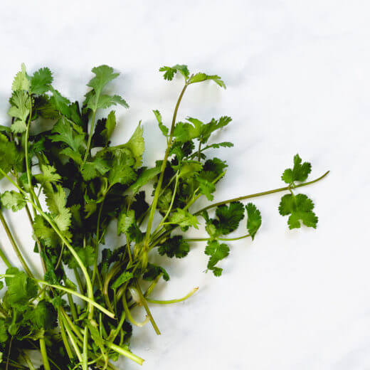 How to Cut Cilantro – A Couple Cooks