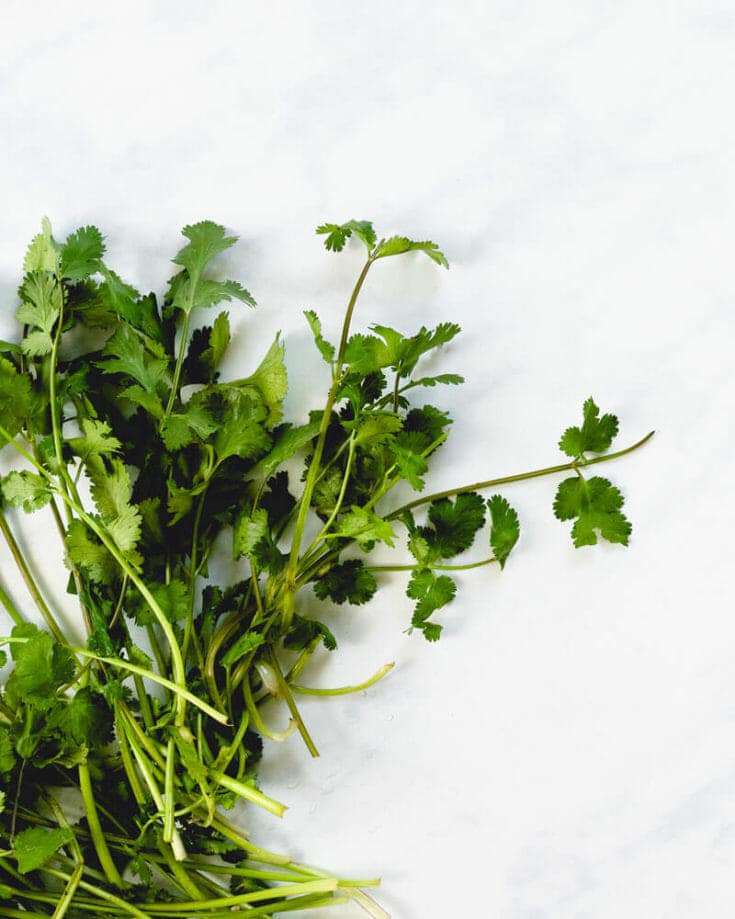 15 Best Cilantro Recipes – A Couple Cooks