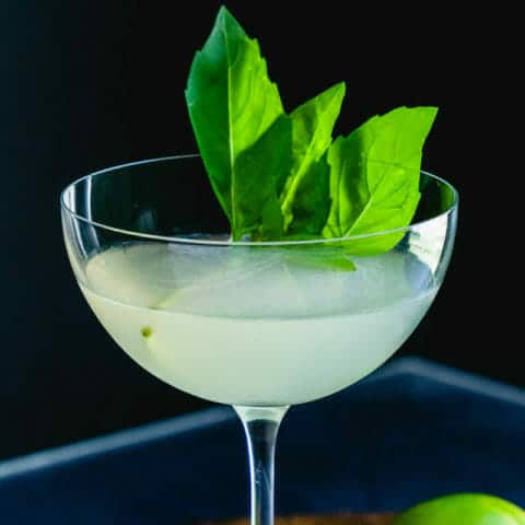 Best Basil Gimlet Recipe – A Couple Cooks
