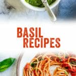 15 Best Basil Recipes – A Couple Cooks