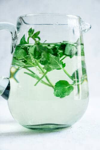 Easy Mint Water Recipe – A Couple Cooks