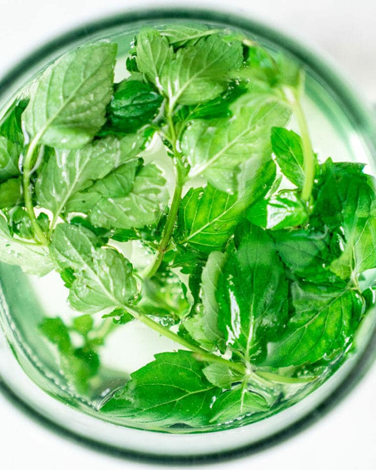 Easy Mint Water Recipe – A Couple Cooks