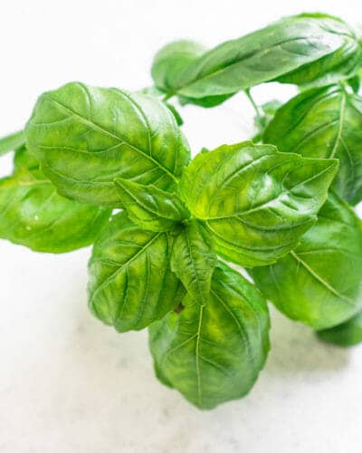 Easy Basil Tea – A Couple Cooks