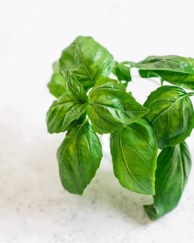Easy Basil Sauce – A Couple Cooks