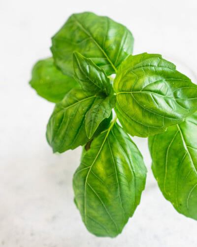 Quick Guide to Basil – A Couple Cooks