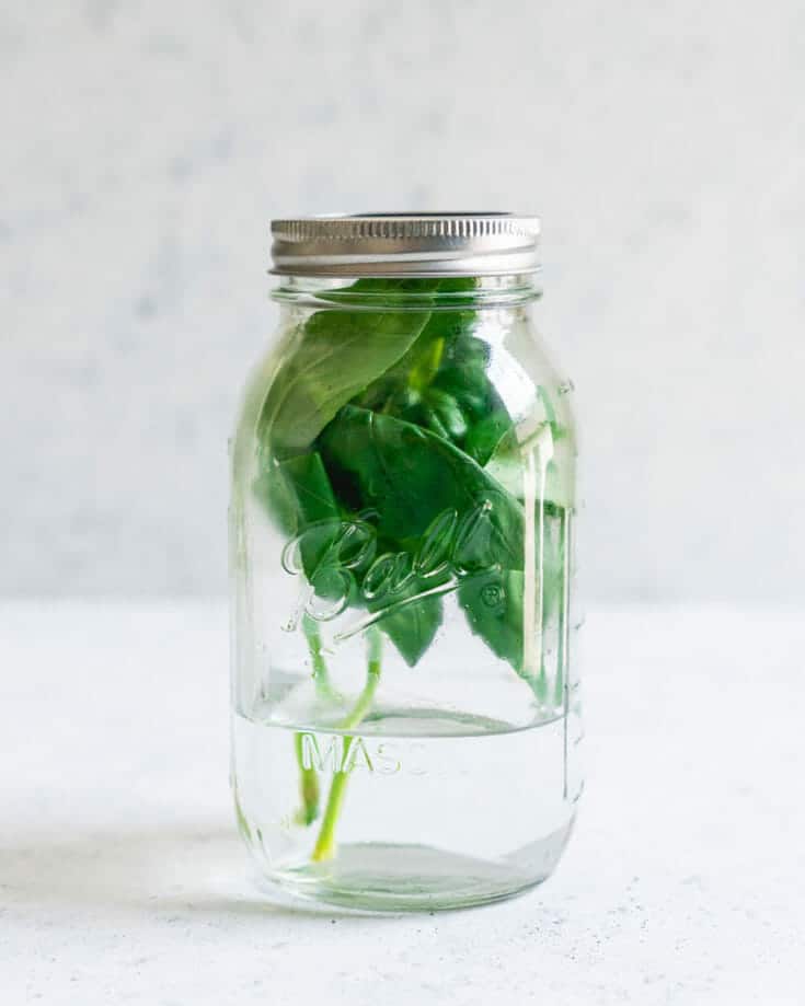 How to Store Fresh Basil – A Couple Cooks