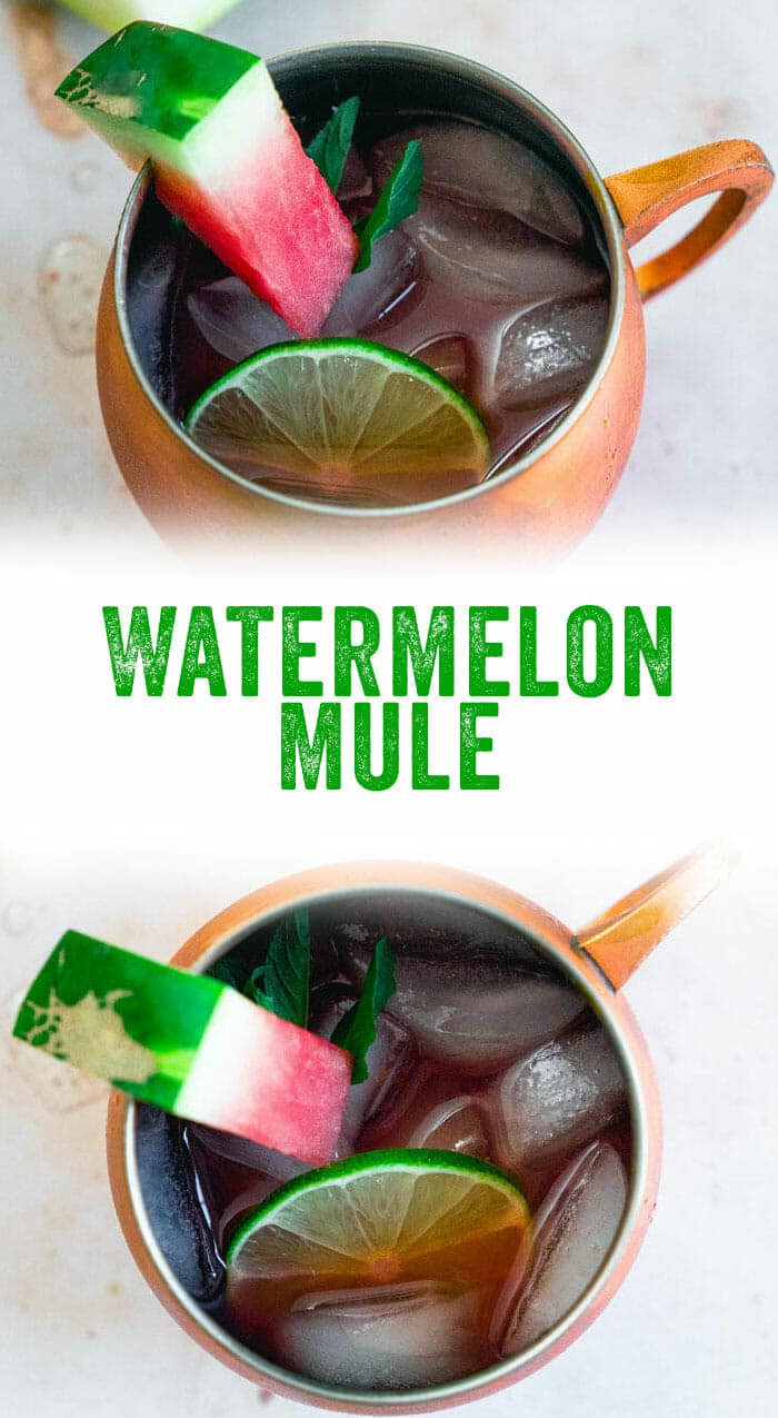 Watermelon Mule (Spin on a Moscow Mule!)