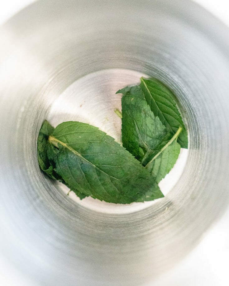 How to Muddle Mint (& Other Fruits & Herbs, Too!) – A Couple Cooks