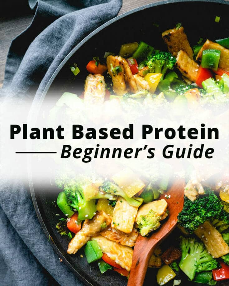 Guide to Plant Based Protein (with Recipes!) – A Couple Cooks