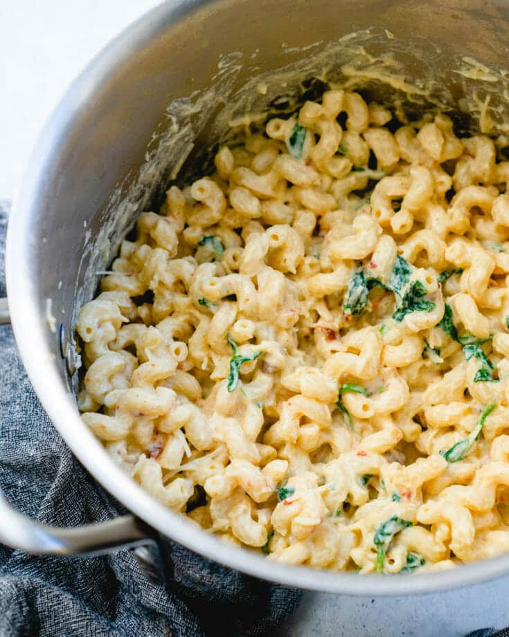 Creamy Cavatappi Pasta – A Couple Cooks