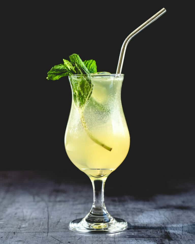 10 Fresh Mint Cocktails – A Couple Cooks