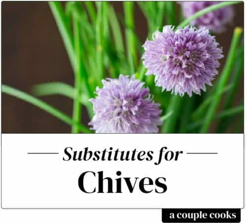 Best Substitute for Chives – A Couple Cooks
