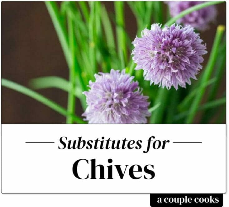 Best Substitute for Chives – A Couple Cooks