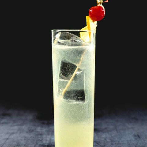 John Collins Cocktail – A Couple Cooks