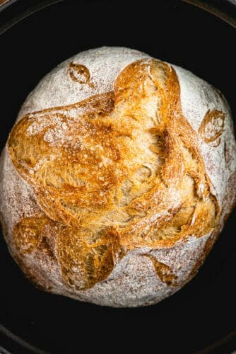 Best No Knead Bread Recipe (Bakery-Style Loaf!) – A Couple Cooks