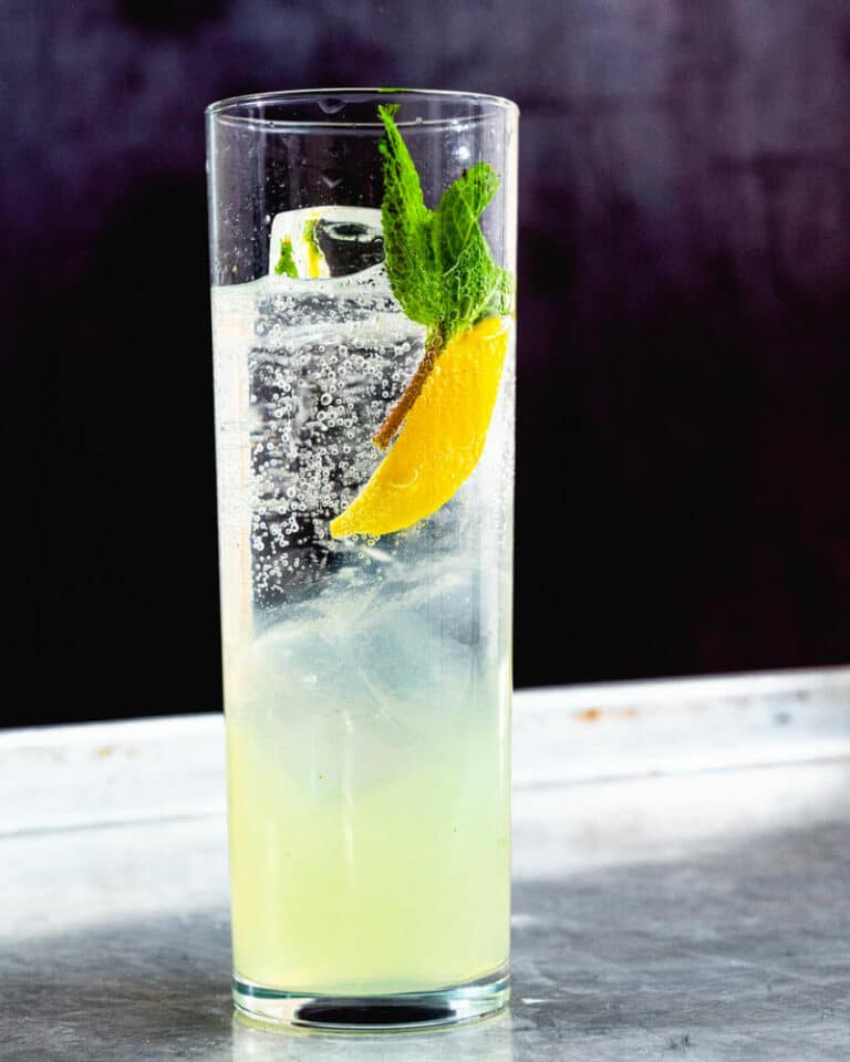 Quick Guide to Sparkling Water (Carbonated Water or Seltzer) – A Couple ...