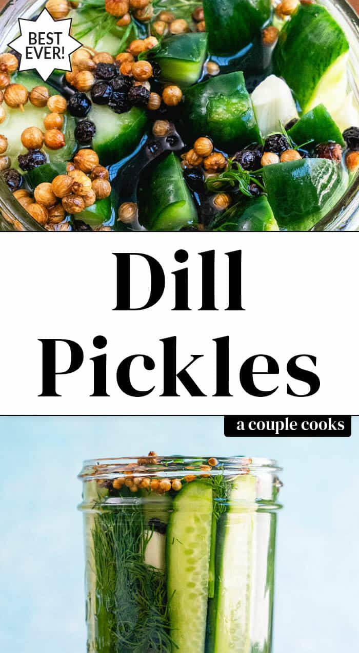 How to Make Dill Pickles – A Couple Cooks