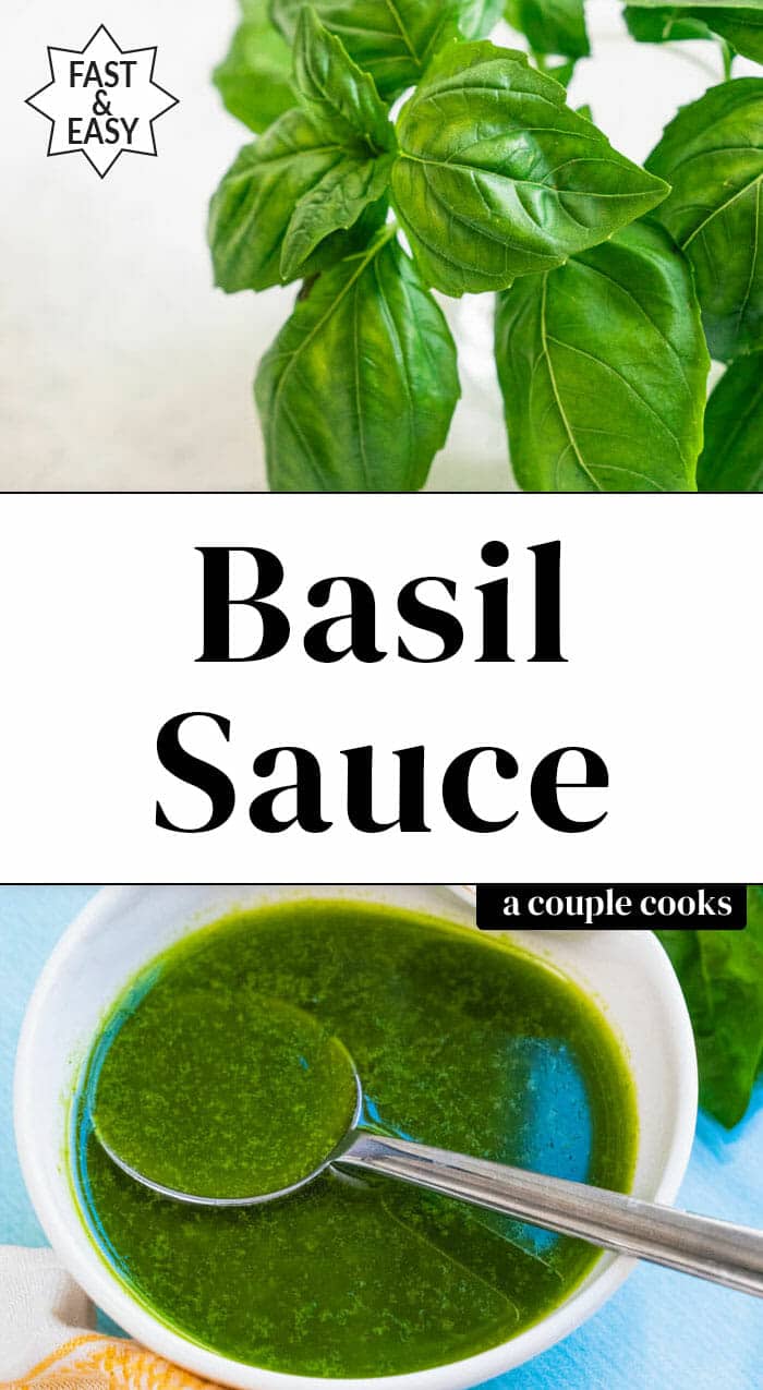 Easy Basil Sauce – A Couple Cooks