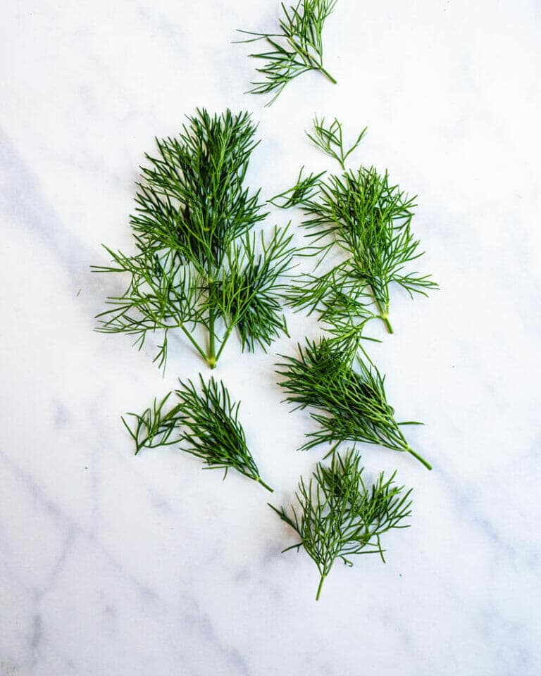 10 Best Dill Recipes – A Couple Cooks