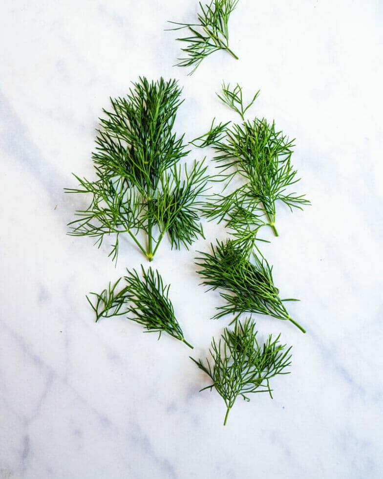 10 Best Dill Recipes – A Couple Cooks