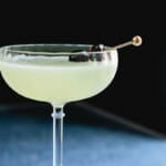 Quick Guide to Chartreuse (What it Is & How to Use It) – A Couple Cooks