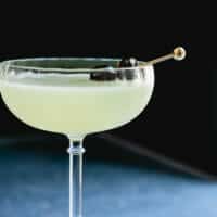 Quick Guide to Chartreuse (What it Is & How to Use It) – A Couple Cooks