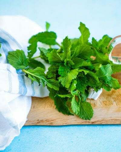 12 Mint Recipes to Try – A Couple Cooks