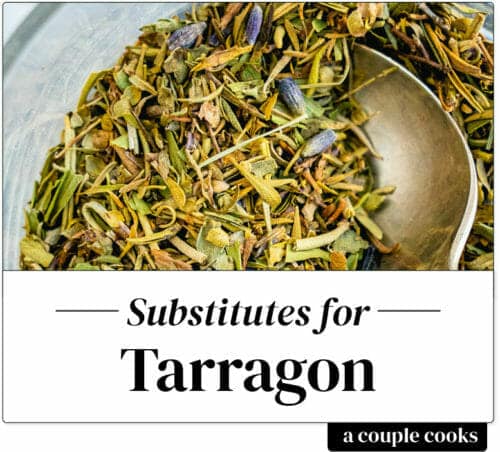 Best Tarragon Substitute – A Couple Cooks