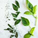 How to Dry Basil – A Couple Cooks