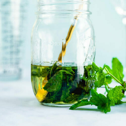 Mint Simple Syrup (Easy DIY!) – A Couple Cooks
