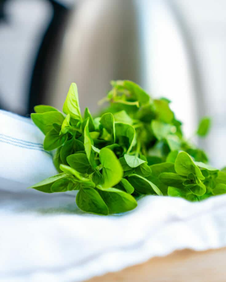 Easy Oregano Tea – A Couple Cooks