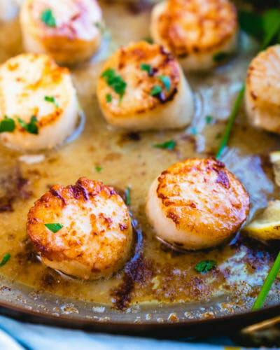 12 Easy Scallop Recipes – A Couple Cooks