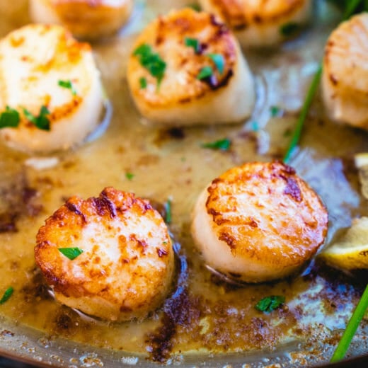 12 Easy Scallop Recipes – A Couple Cooks