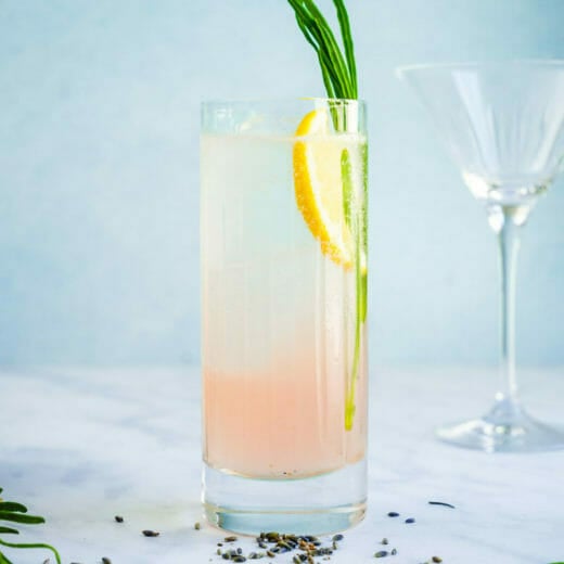 John Collins Cocktail – A Couple Cooks