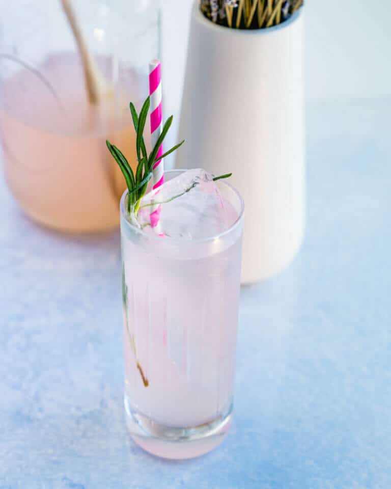 20 Zesty Lemonade Recipes – A Couple Cooks