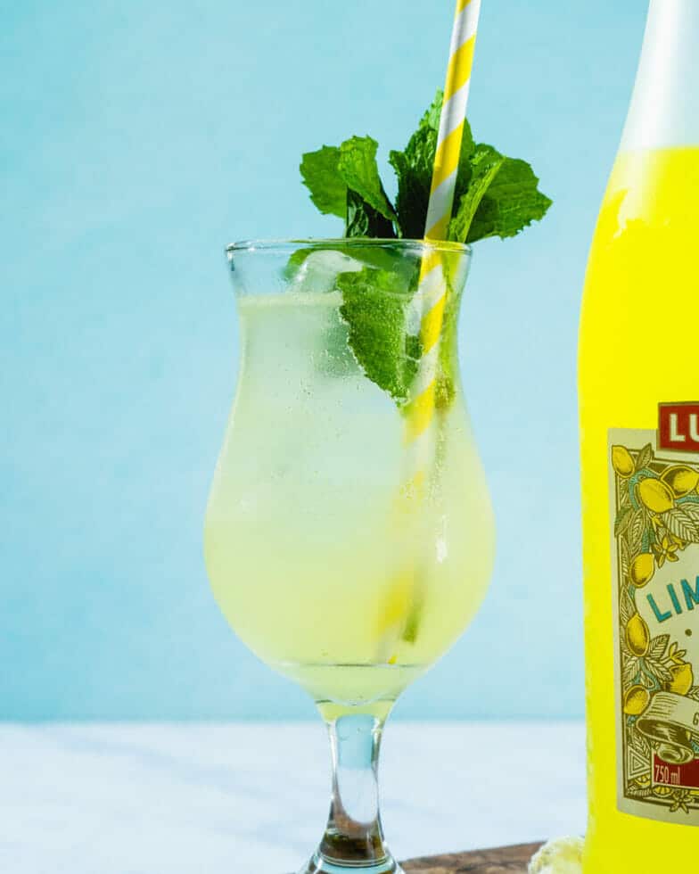 20 Best Lemon Cocktails to Try Now – A Couple Cooks