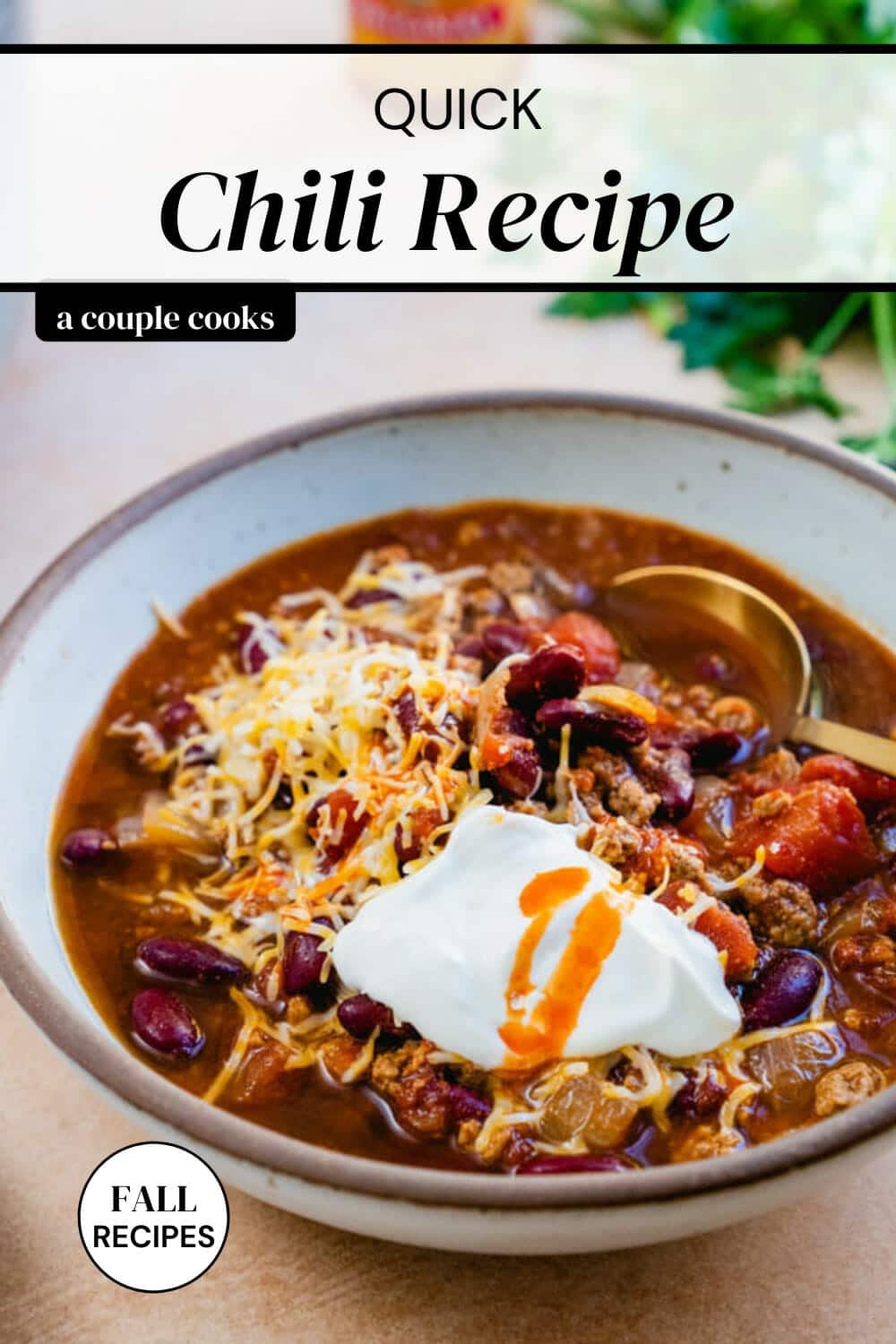Quick Chili Recipe (23 Minutes!) – A Couple Cooks