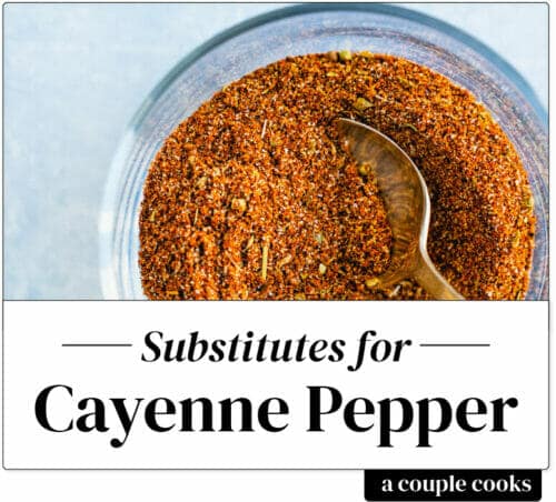 Cayenne Pepper Substitute – A Couple Cooks
