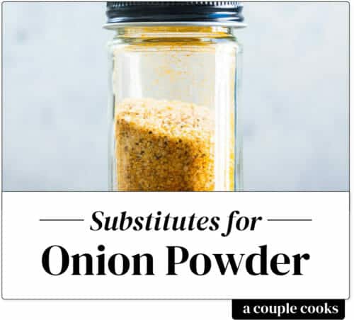 Best Onion Powder Substitute – A Couple Cooks