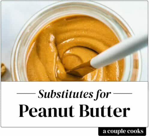 Best Peanut Butter Substitute – A Couple Cooks