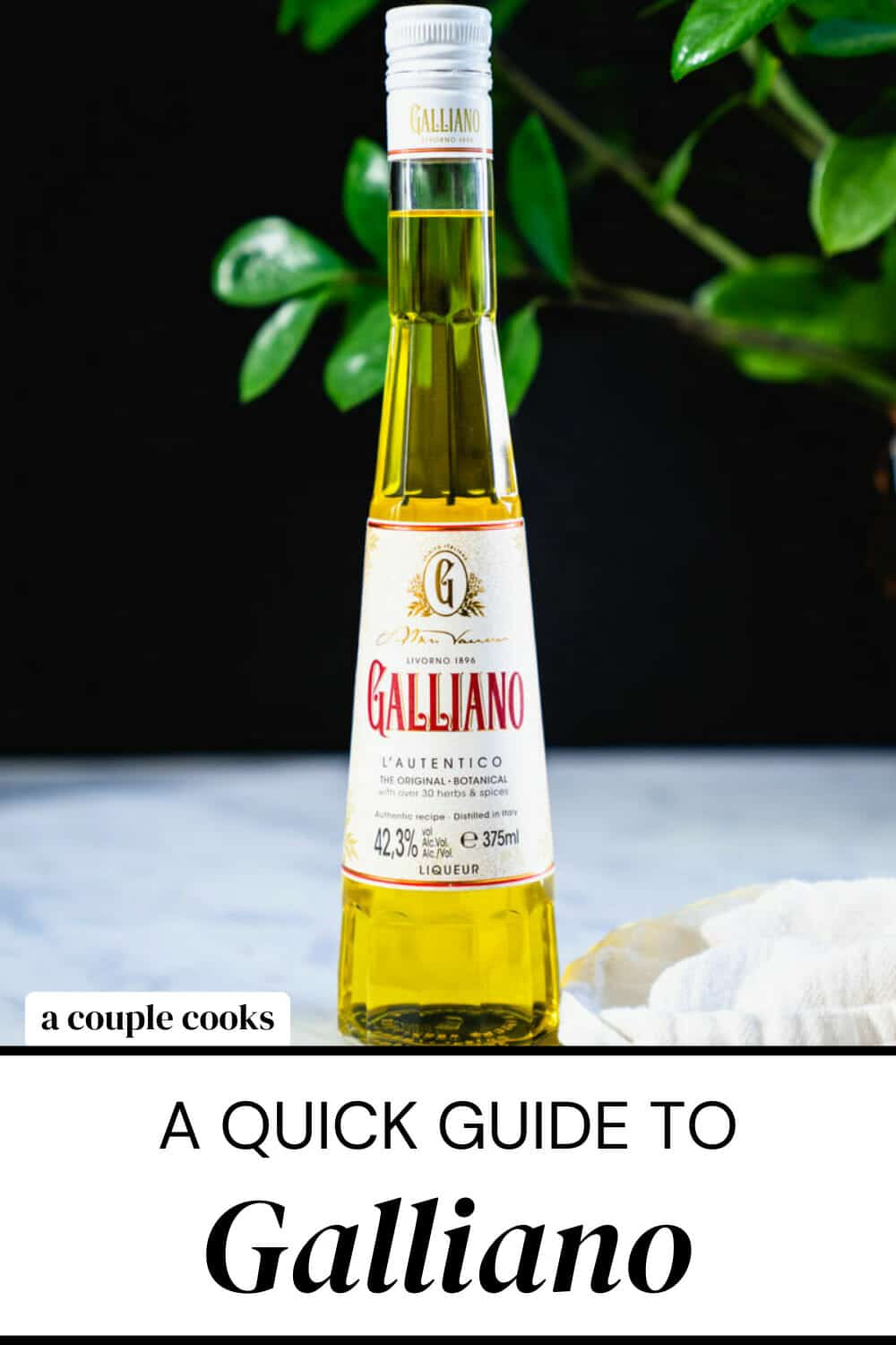 Quick Guide to Galliano – A Couple Cooks