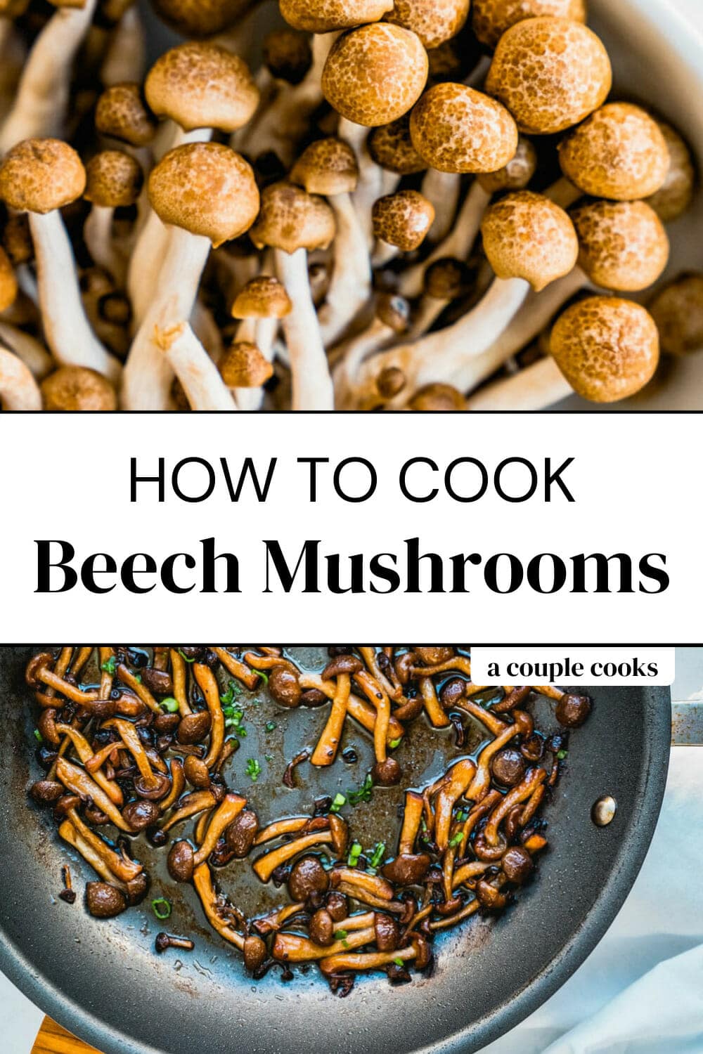 Beech Mushrooms Info And Recipe A Couple Cooks