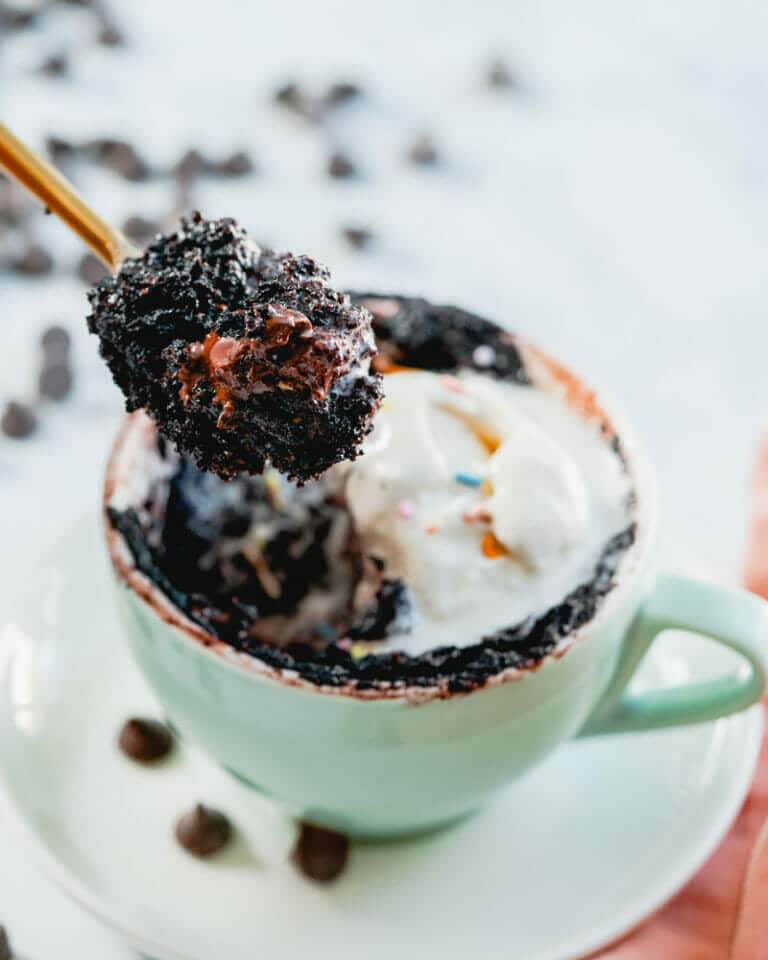 Ultimate Mug Cake Recipe – A Couple Cooks