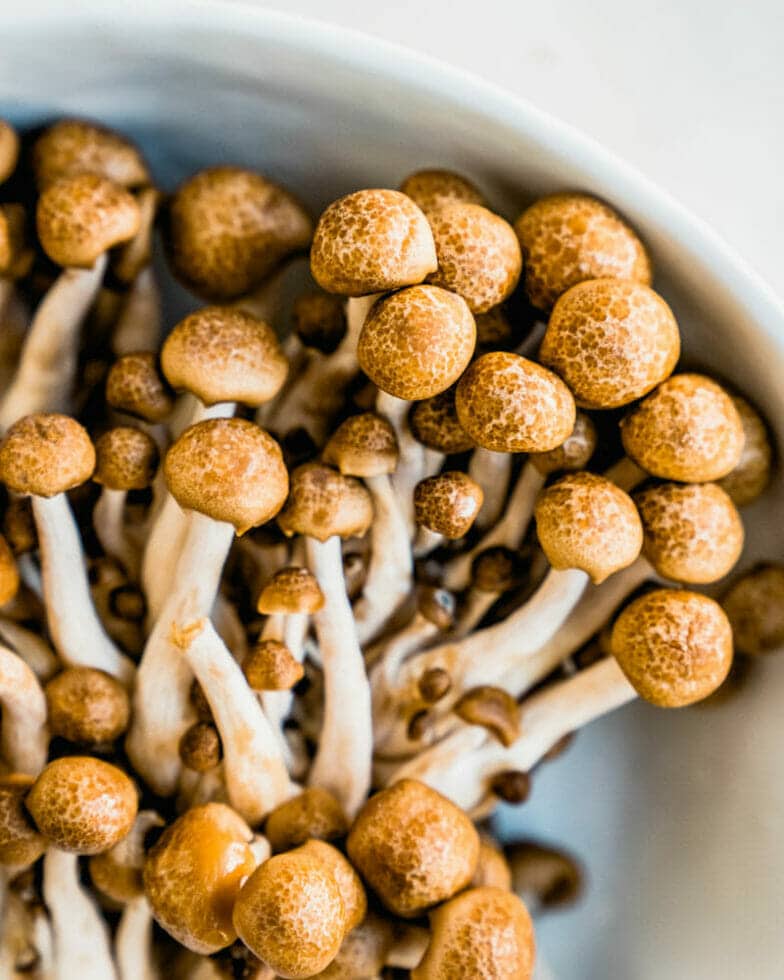 Beech Mushrooms Info And Recipe A Couple Cooks