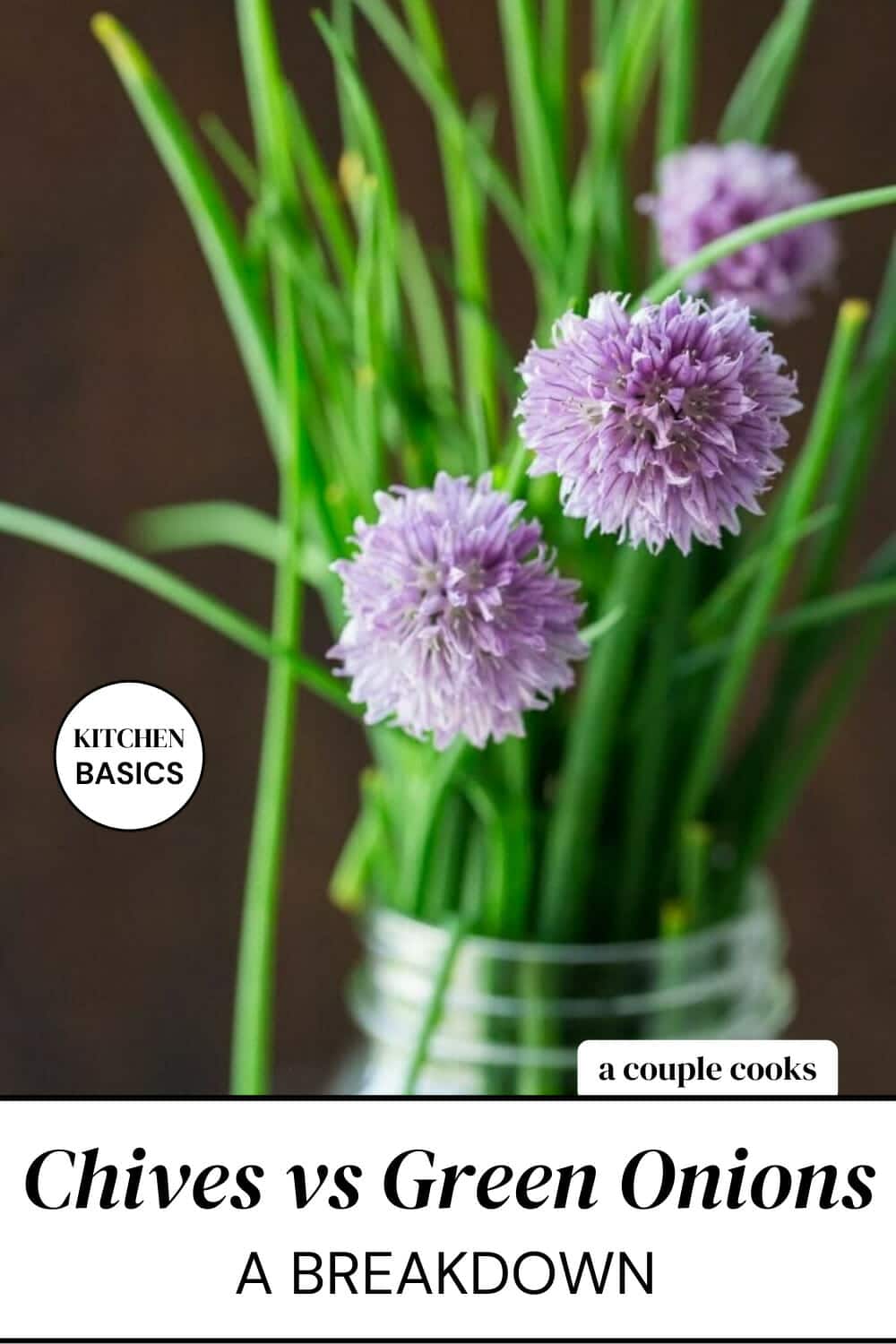 Chives vs Green Onions: A Breakdown! – A Couple Cooks