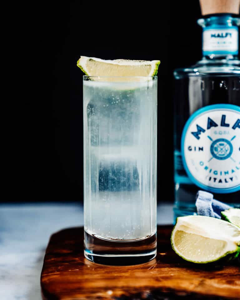 Classic Gin Rickey (3 Ingredient Cocktail!) – A Couple Cooks