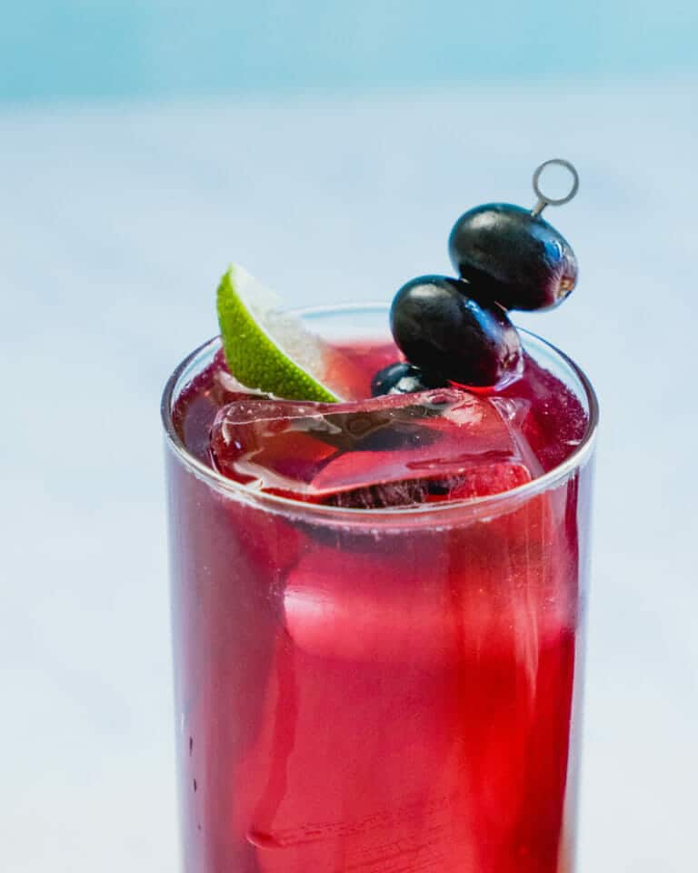 Classic Transfusion Drink – A Couple Cooks